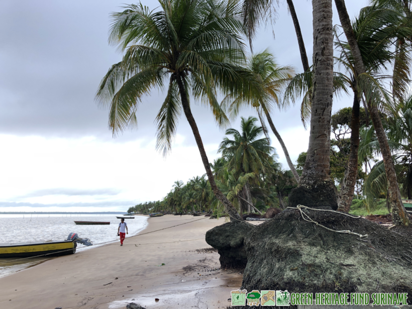 A Weekend in Galibi - Green Heritage Fund Suriname