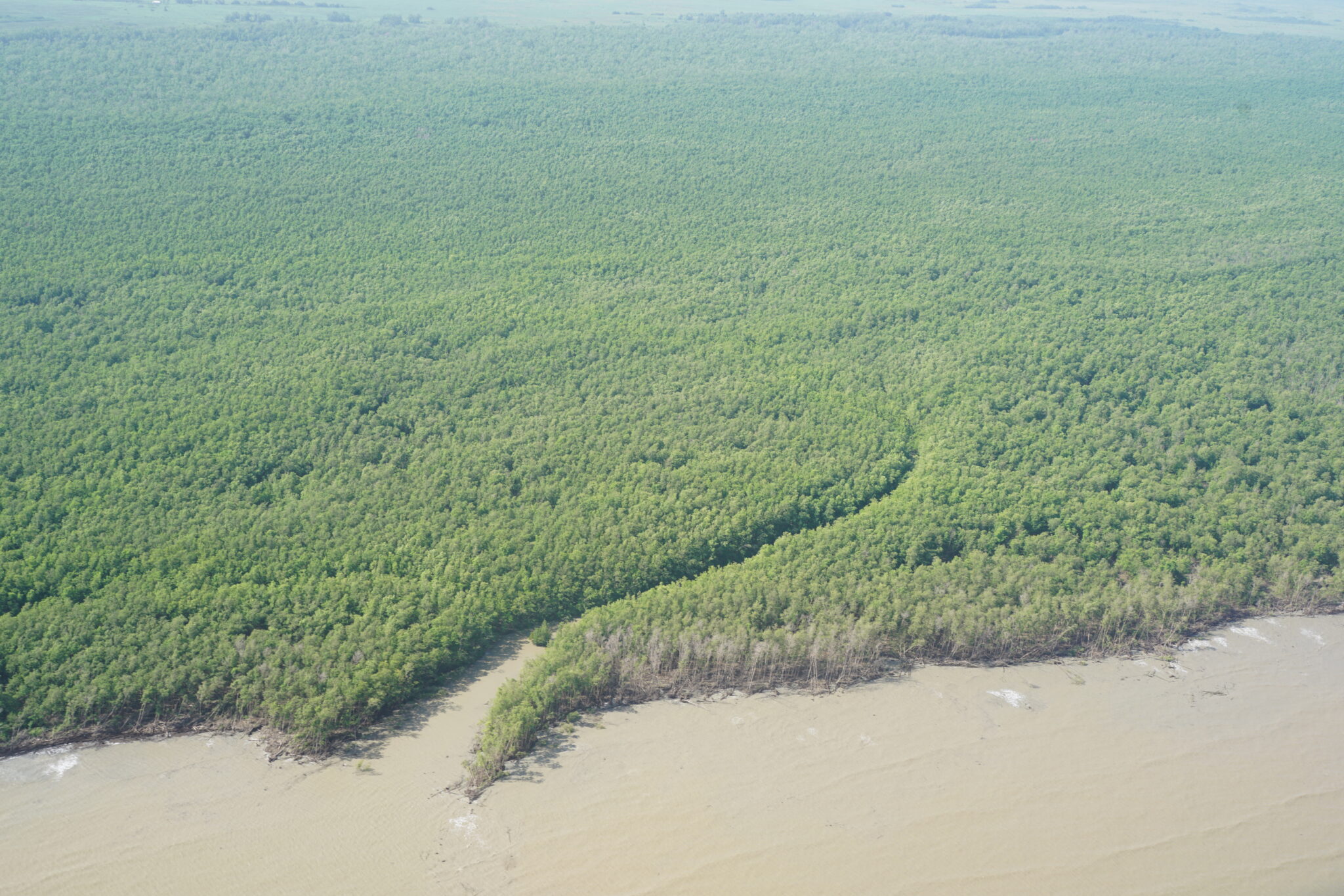 Community Conservation of Mangroves - Green Heritage Fund Suriname